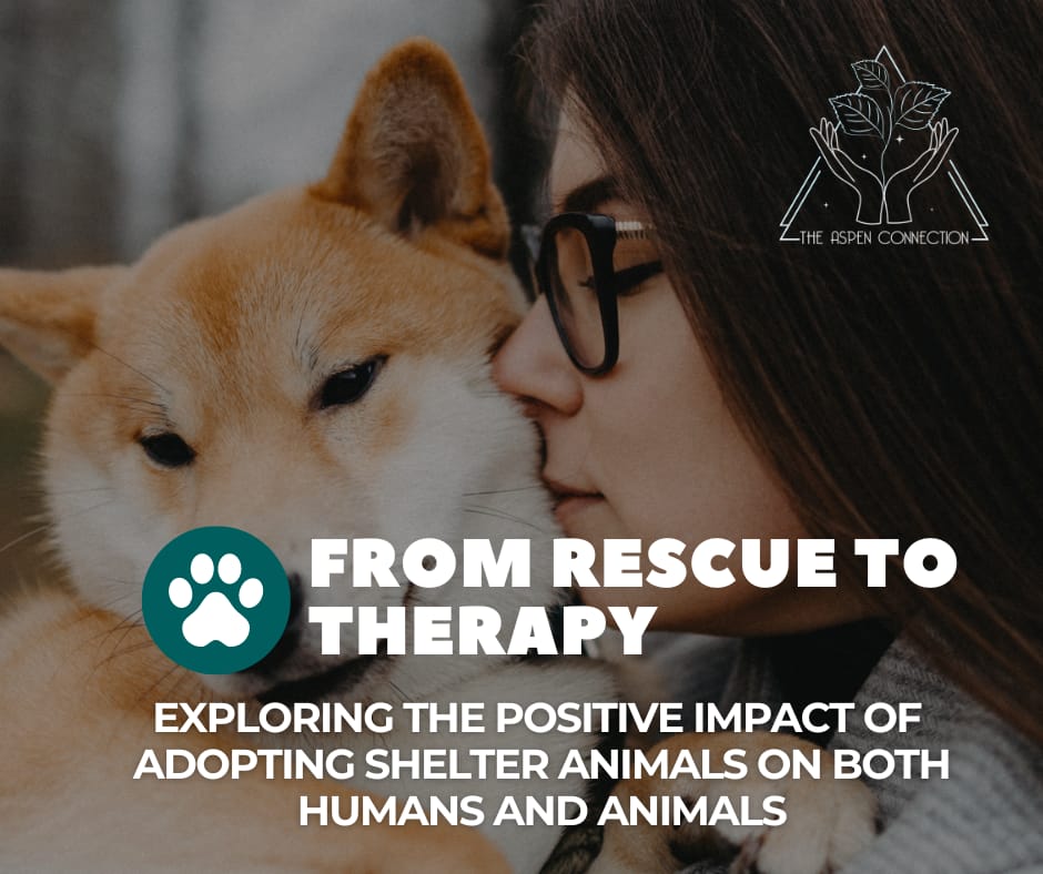 From Rescue to Therapy: Exploring the Positive Impact of Adopting ...